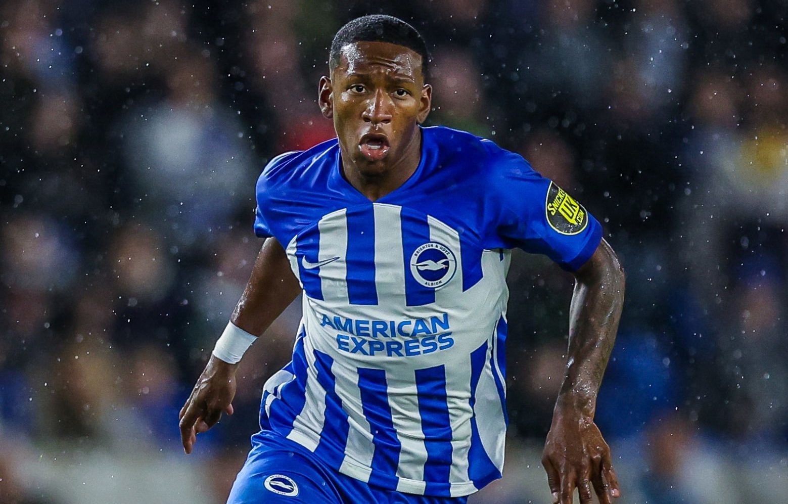 (VIDEO) Pervis Estupiñán volvió a entrenar con el Brighton | Studiofutbol